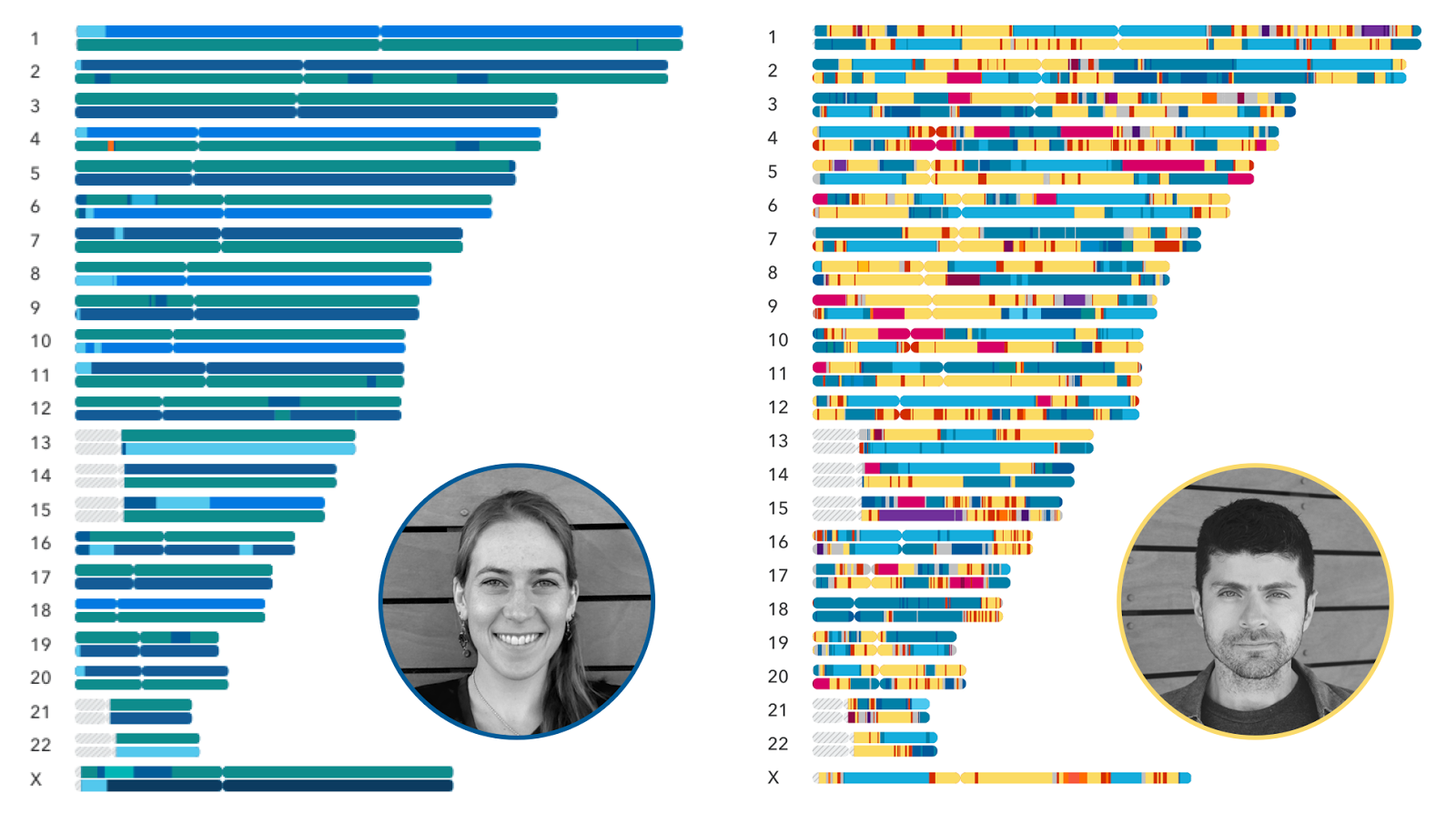 Generating Personalized Art from DNA Sequencing - Need help : r/genetics