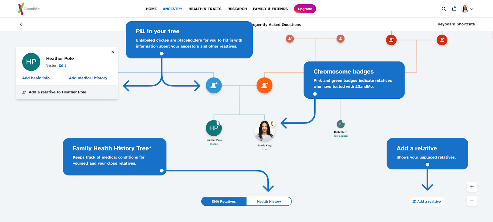 How to Build and Edit your 23andMe Family Tree – 23andMe Customer Care